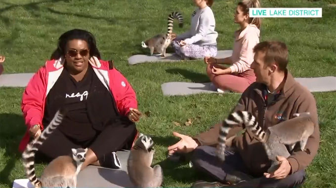 This Morning | STV Player